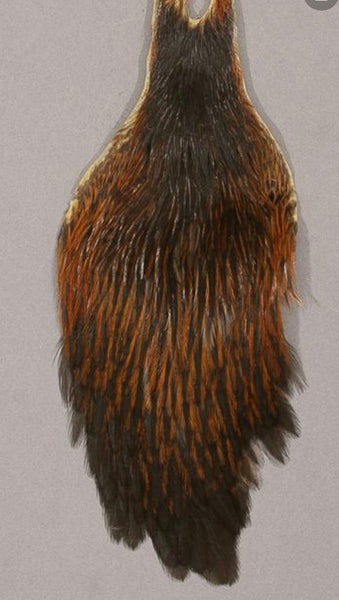 Metz hen neck grade 1 – RiversEdgeOutfittersNC